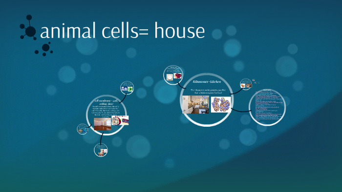 animal cells= house by Lauren Hr on Prezi