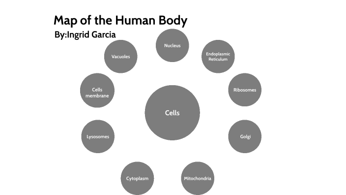 Map of theHuman Body by Ingrid Garcia Rodriguez on Prezi