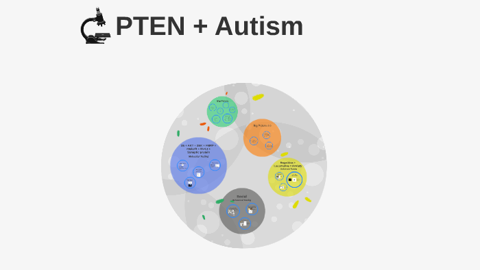 PTEN + Autism by Taylor Lombard on Prezi