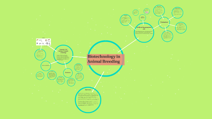Biotechnology in Animal Breeding by Lauren Duly on Prezi