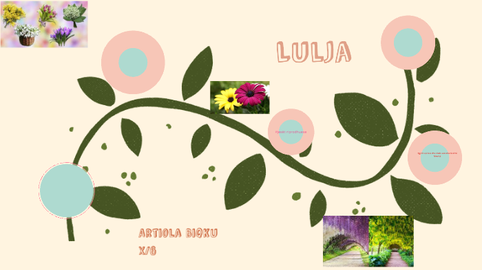 lulja by artiola artiola on Prezi