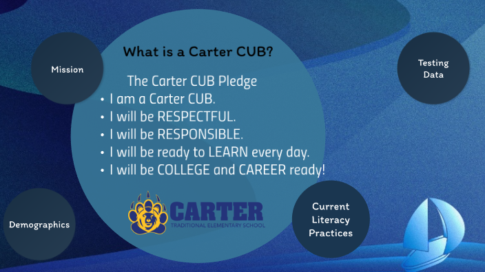 Carter Traditional Elementary School Literacy Improvement Plan by ...