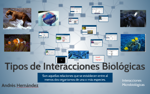 Tipos de interacciones biológicas by andres hernandez on Prezi
