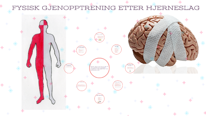 FYSISK GJENOPPTRENING ETTER HJERNESLAG by mina aasheim on Prezi