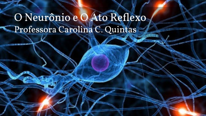 O Neurônio e O Ato Reflexo by Professora Carol Quintas on Prezi