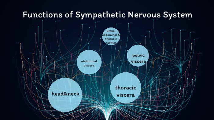 Function of sympathetic nervous system by Mahmoud Mohamed on Prezi