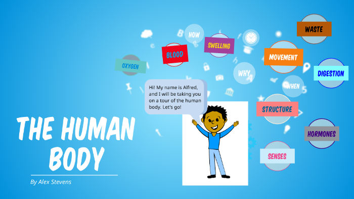 The Human Body by Cristina Stevens on Prezi