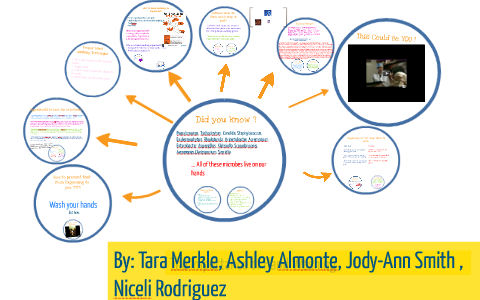 The Importance of Hand washing by tara Merkle on Prezi