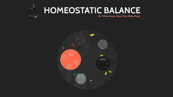 Homeostatic Balance by Alyssa Phan on Prezi