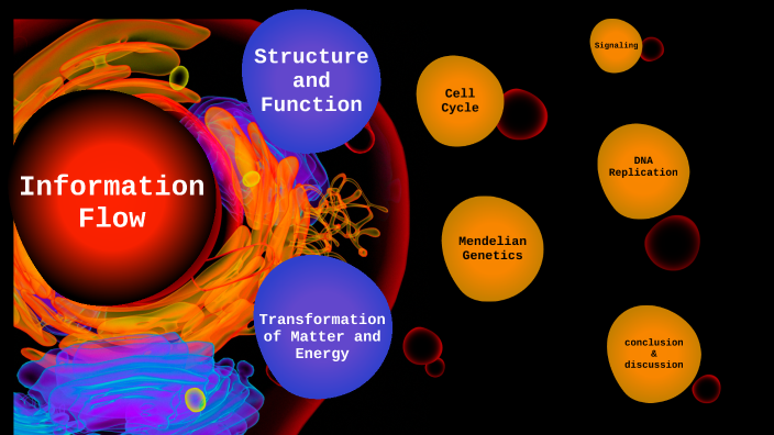 Cell Biology Concept Map by Sophie Yarbrough on Prezi