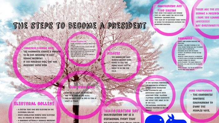History President Steps by Chandler Sullivan on Prezi
