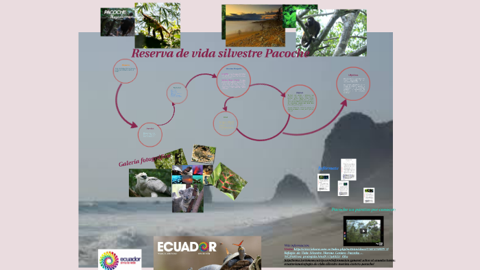 RESERVA DE VIDA SILVESTRE PACOCHE by Deysi Chulli on Prezi