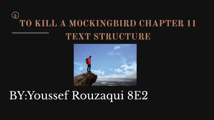 Chapter 11 to kill a mockingbird text structure by youssef rouzaqui on ...