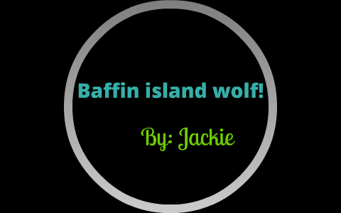 Baffin Island Wolf! by Jacqueline Pineda on Prezi