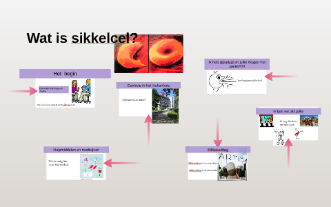 Wat is sikkelcel? by on Prezi