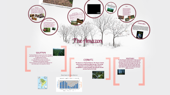 The Amazon and the Shrinking Rain Forest by amy lowry on Prezi