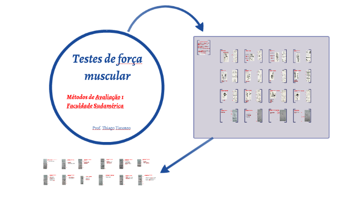 TESTES DE FORÇA MUSCULAR: by Thiago Timoteo on Prezi