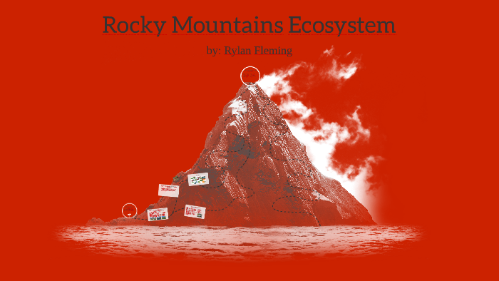 Rocky Mountains Ecosystem by Rylan Fleming on Prezi
