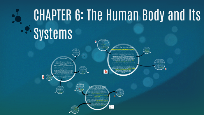 CHAPTER 6: The Human Body and Its Systems by Angelica Munoz on Prezi