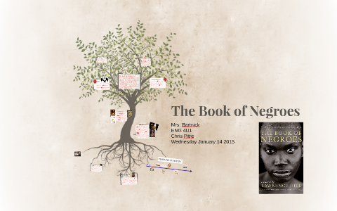 The Book of Negroes by chris pitre