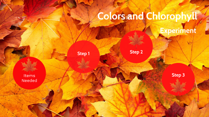 Exploring Colors and Chlorophyll by Kiley Timler on Prezi
