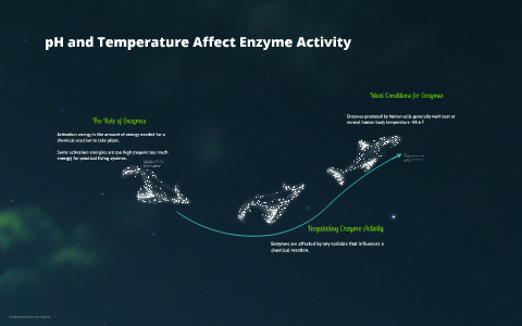 pH and Temperature Affect Enzyme Activity by Stephanie Meriwether on Prezi