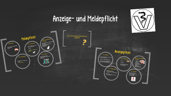 Anzeige- und Meldepflicht by Tessa Häusler on Prezi