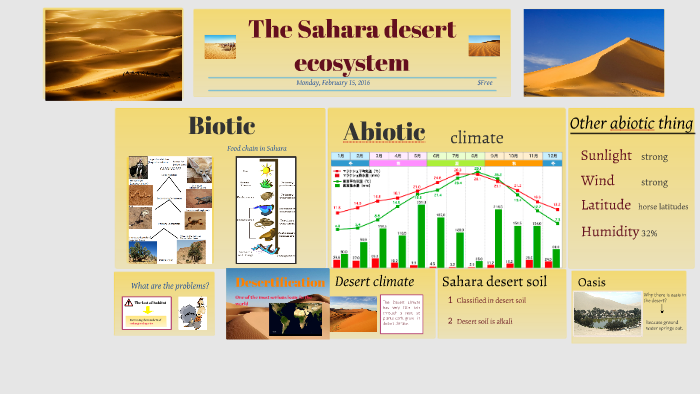 Sahara desert ecosystem by Ren Fukumoto on Prezi