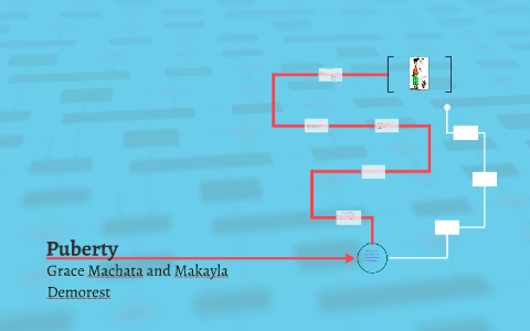 Puberty By Grace Machata On Prezi