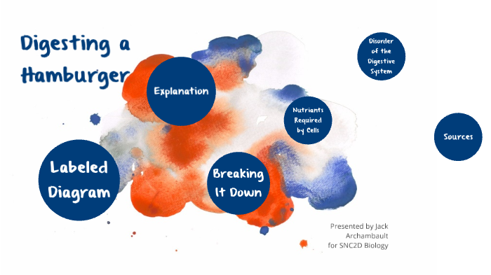 The Human Digestive System by Jack Archambault on Prezi