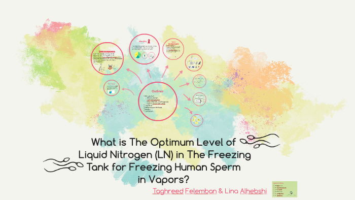 What is the optimum level of by Lina Alhebshi on Prezi