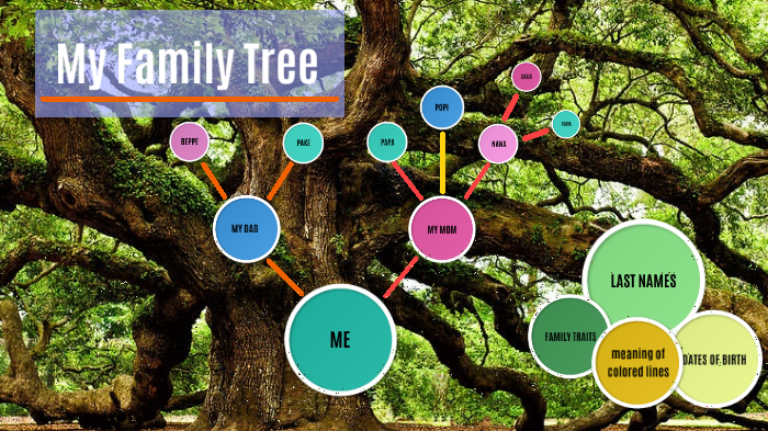 Interactive Family Tree by bob bob on Prezi