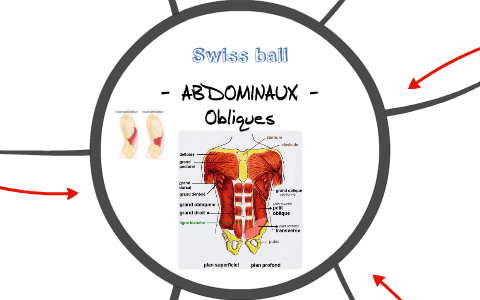 SWISS BALL - Obliques by Delphine MAESTRE on Prezi