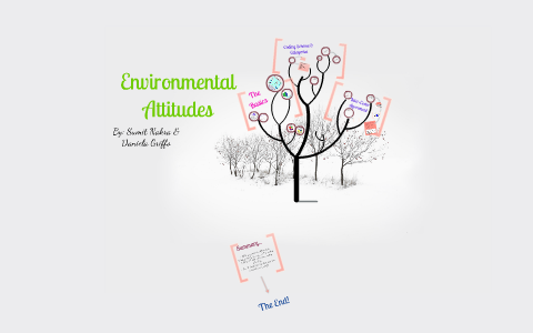 Environmental Research by Daniela Griffo