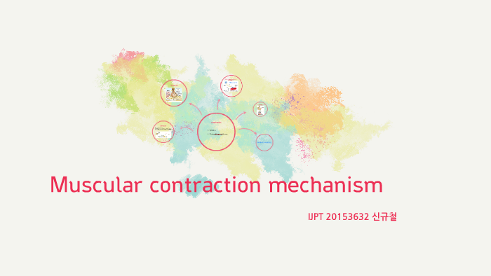 Synapse & Muscle contraction (신규철) by guy cheol shin on Prezi
