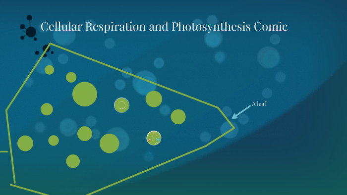Cellular Respiration and Photosynthesis Comic by Bob Joe on Prezi
