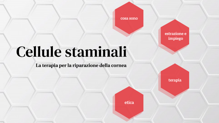 cellule staminali by marta Vailati on Prezi