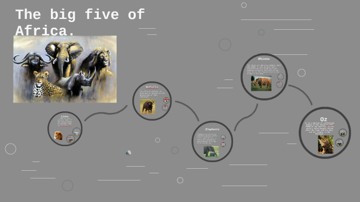 The big five of Africa. by Pedro Henrique on Prezi