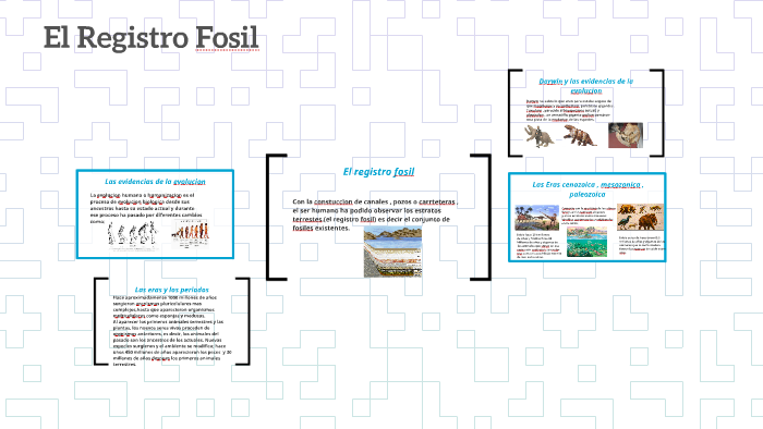 El Registro Fosil by Sebastian Garcia Rodriguez on Prezi