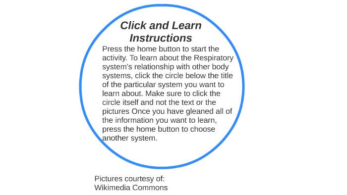 Click and Learn: Respiratory System Relationship with other Systems by ...