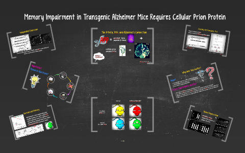 Transgenic Mice: The Alzheimer's Story by Rachel Loebach on Prezi