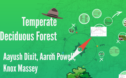 Temperate Deciduous Forest by Aayush Dixit on Prezi