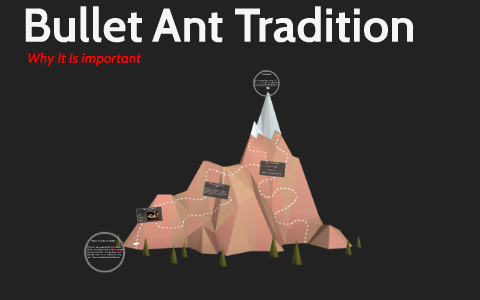 BULLET ANT TRADITION by jamie litton on Prezi