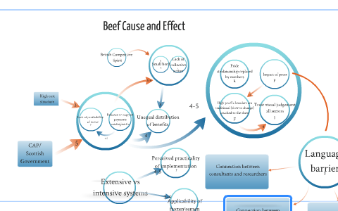 Beef cause effect by Fiona Borthwick on Prezi