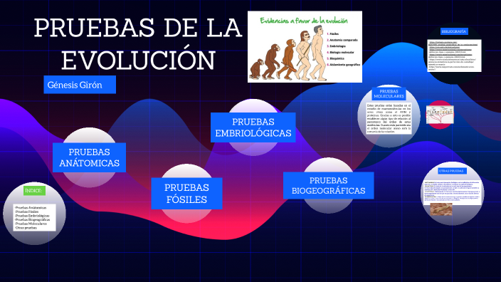 PRUEBAS DE LA EVOLUCIÓN by Génesis Girón on Prezi