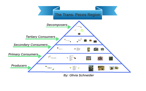 Trans Pecos Region Energy Pyrmid by olivia schneider on Prezi