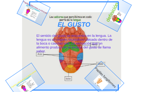 EL GUSTO by Gianna Alarcon on Prezi