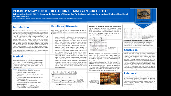 Malayan Box Turtle Poster Presentation by jachin mullings on Prezi