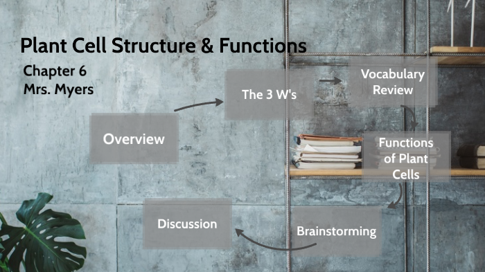 EDU 262: Content Activity 1 by Rachel Myers on Prezi