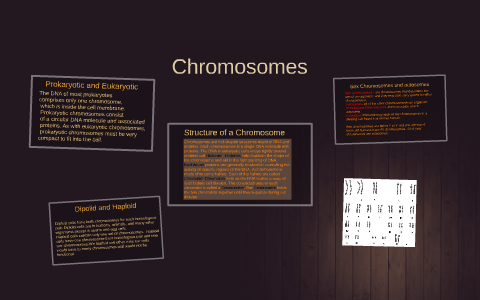 Structure of a chr by Hannah Noonan on Prezi